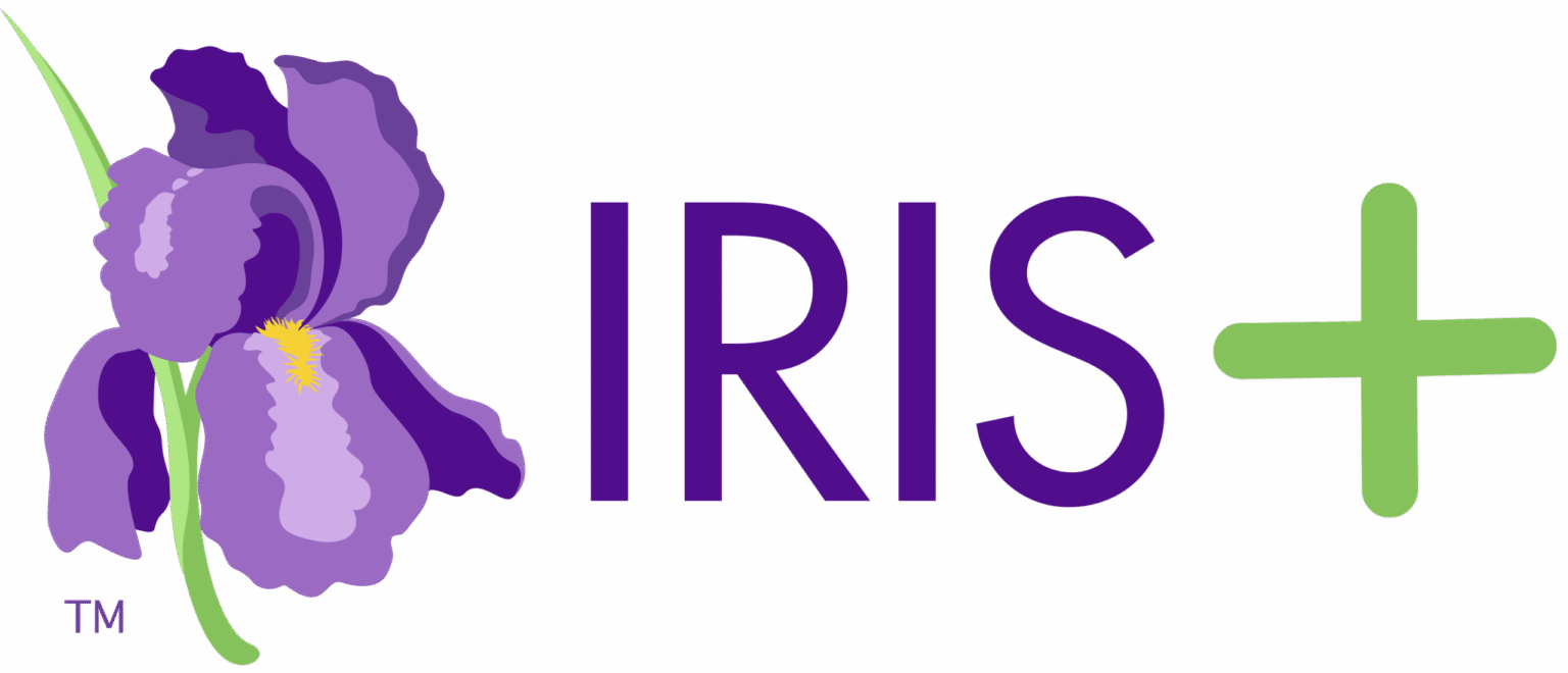 Main Menu