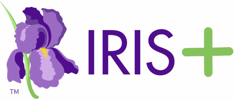 Main Menu